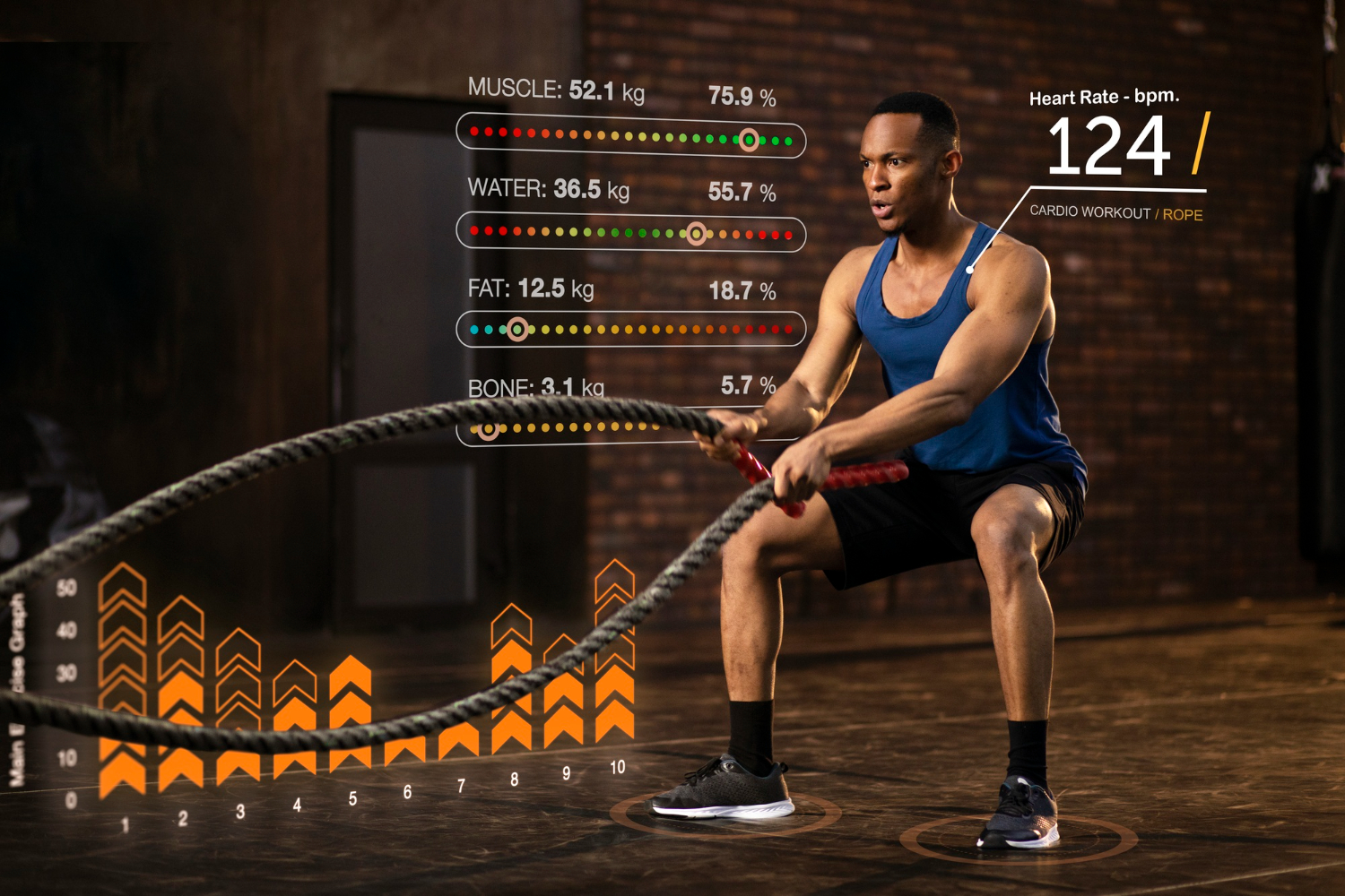 Fitness IT Services & Solutions | Brain Inventory